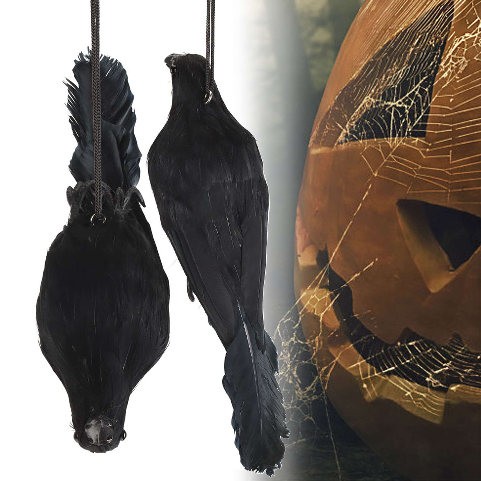 Gustave 2 Pack Realistic Hanging Dead Crow Decoy Lifesize Black ...