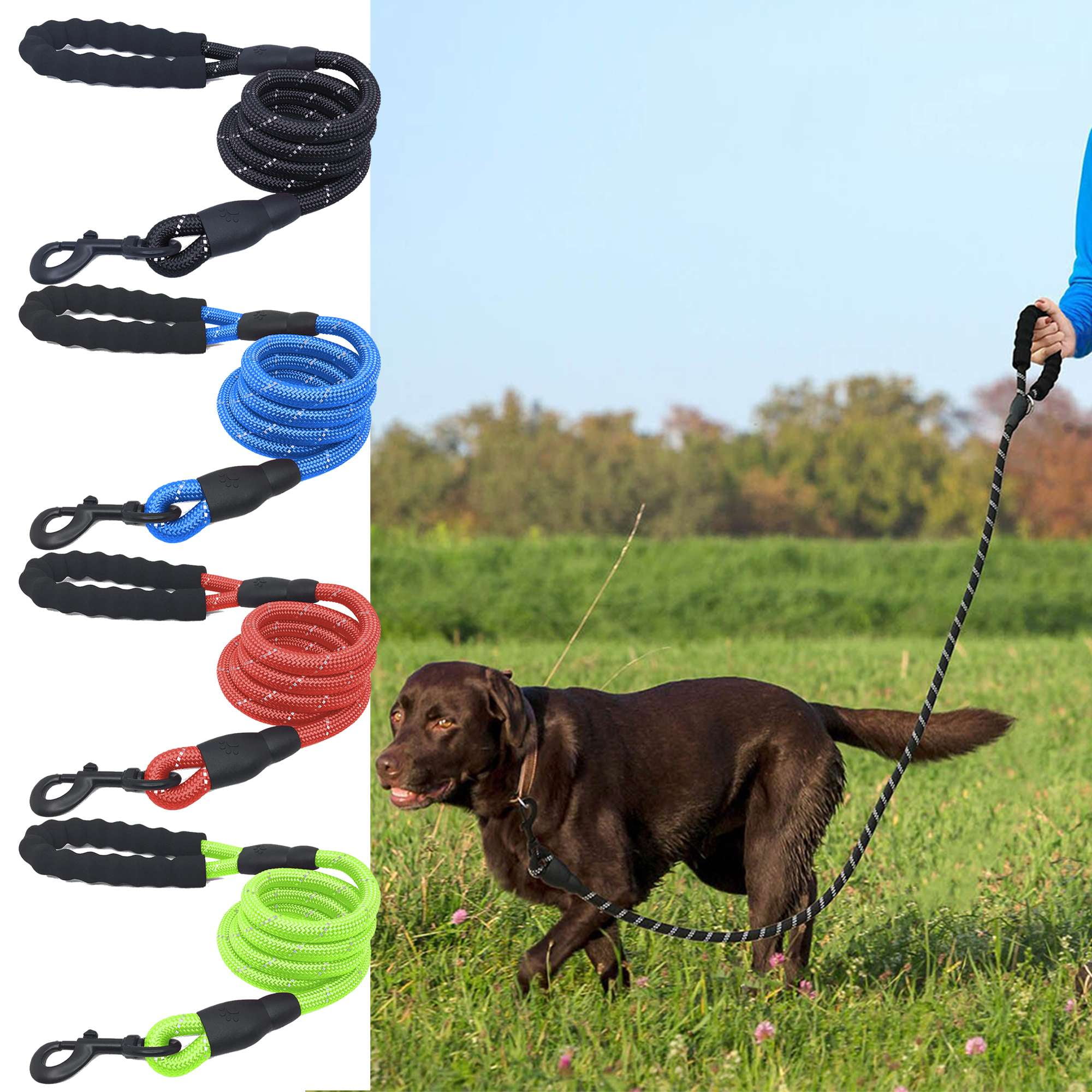 Gustave 5 FT Dog Leash Pet Long Rope Heavy Duty Reflective Nylon Leads ...