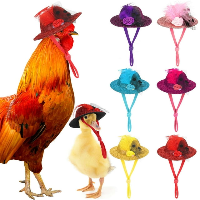 Gustave 6 Pieces Chicken Hats for Hens Small Animal Tiny Feather Top ...