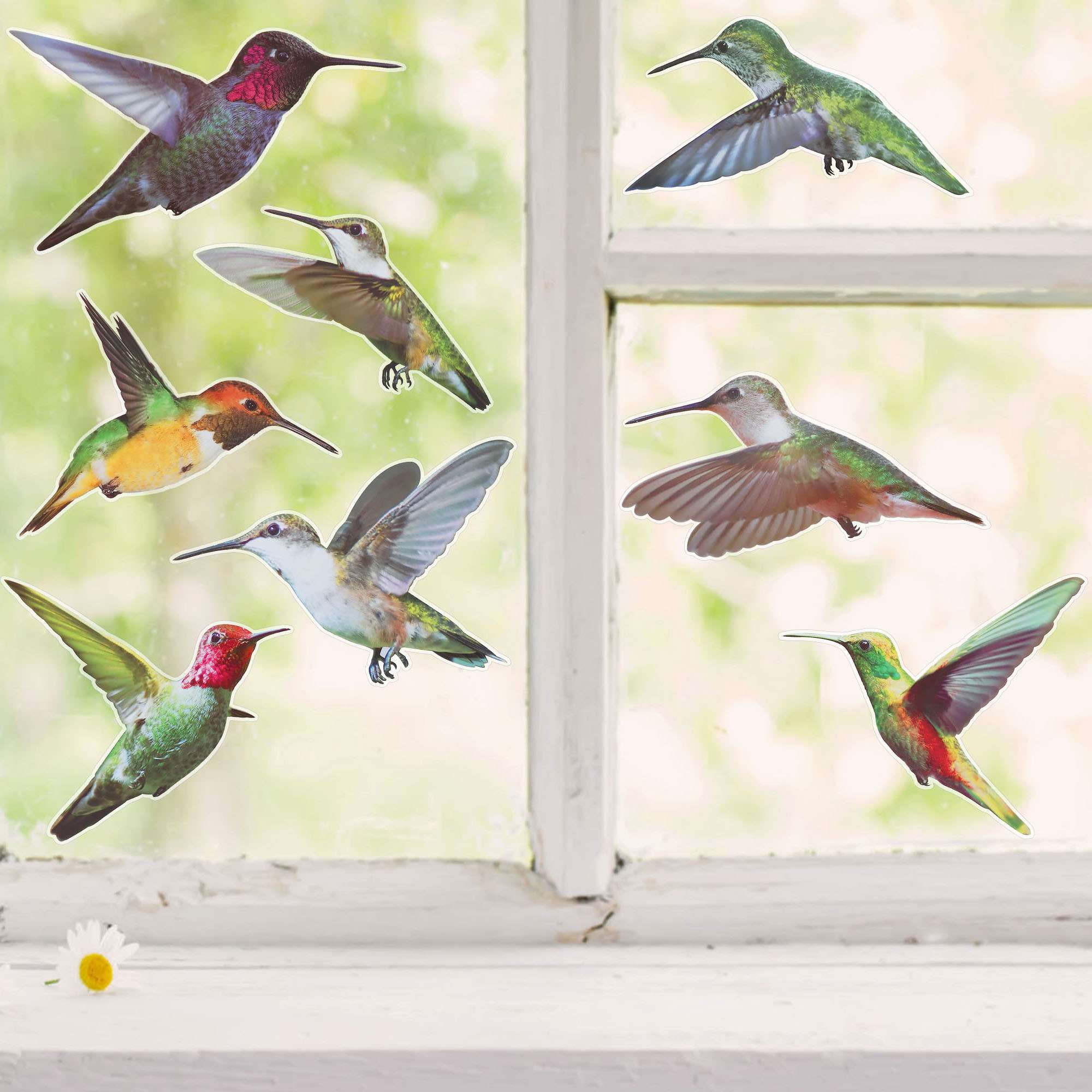 Gustave 9 Pieces Anti-Collision Window Clings Hummingbird Reminder ...