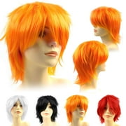 Anime Boy Wig