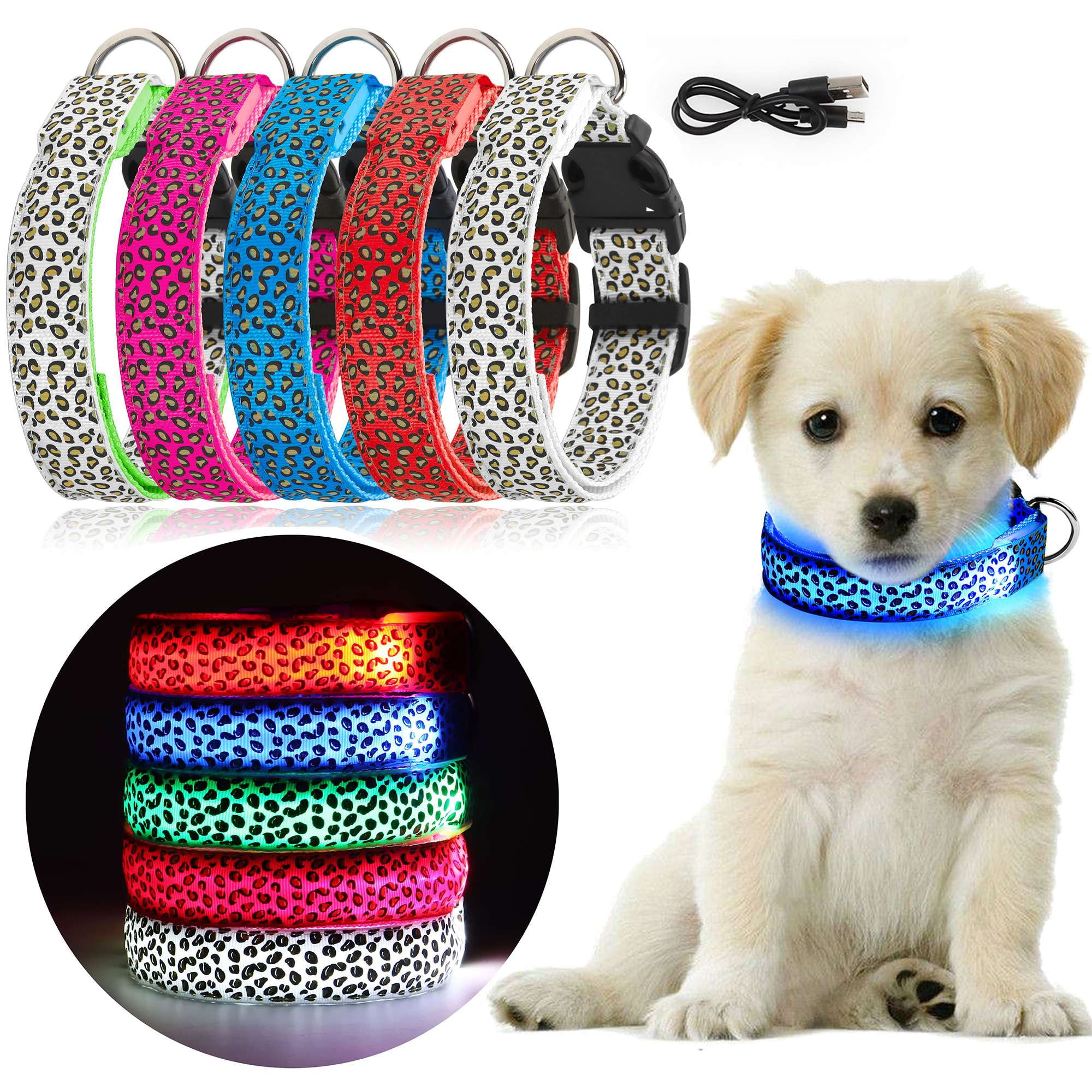Gustave Light Up Dog Collar USB Rechargeable LED Pet Collars Adjustable ...