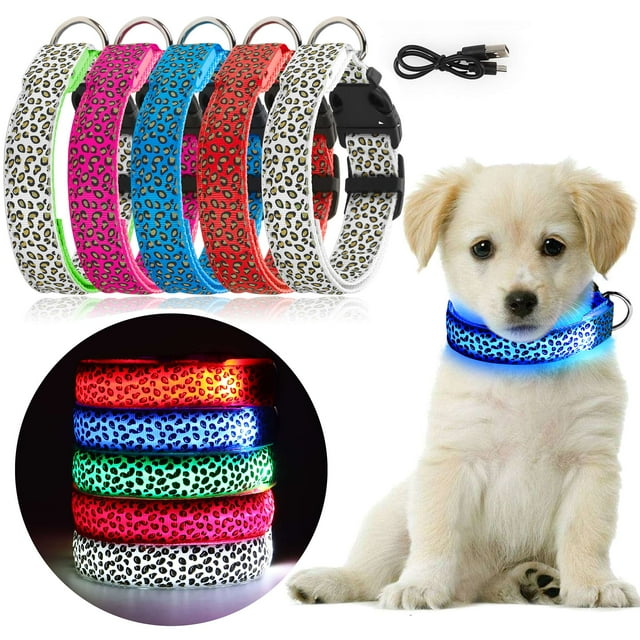 Gustave Light Up Dog Collar USB Rechargeable LED Pet Collars Adjustable ...