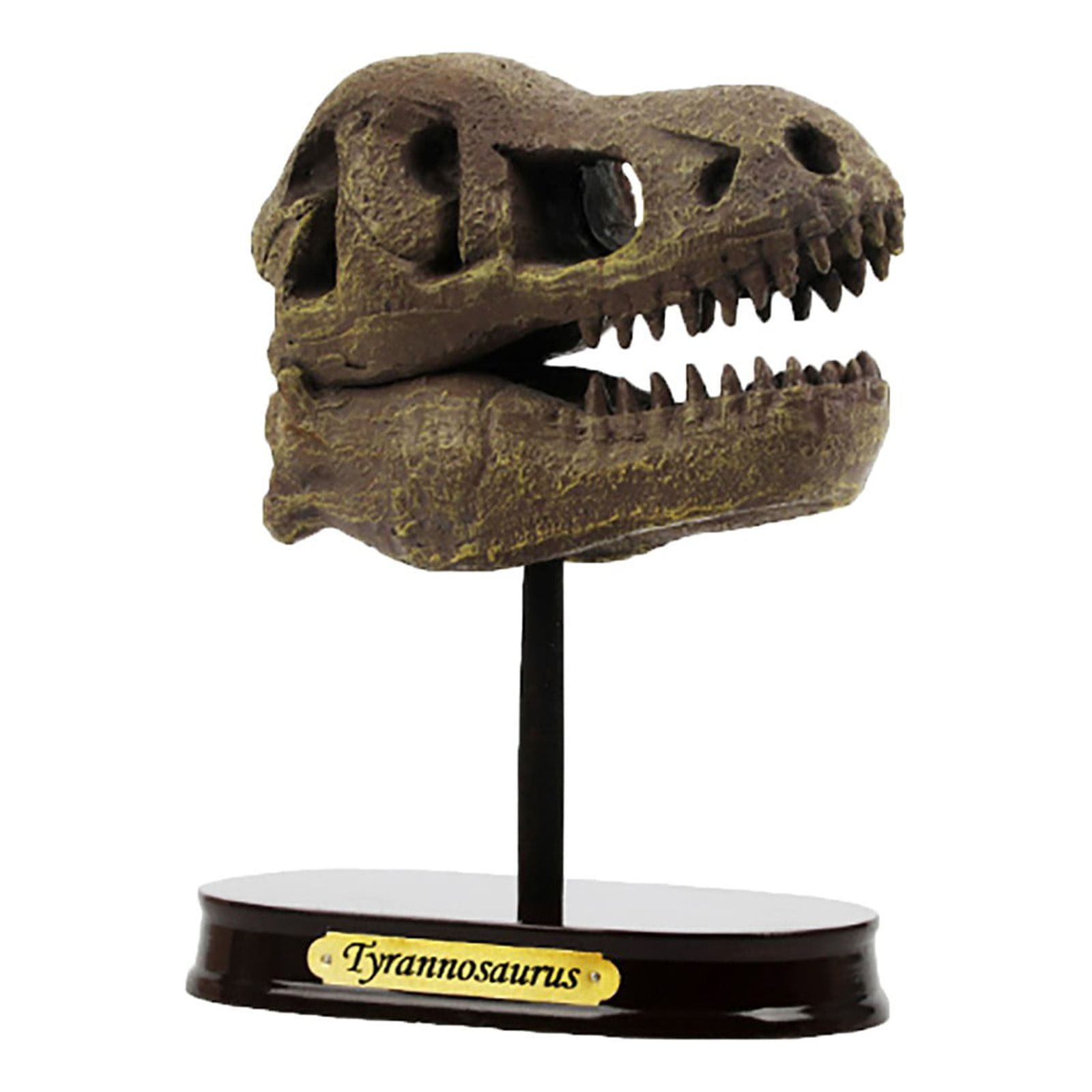 Guvpev Dinosaur Excavation Kit for Kids, with Digging Tools and Stand ...