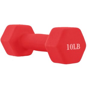 10 lb Dumbbell Sets