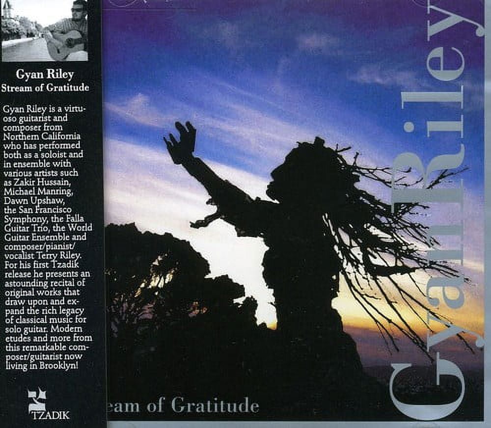 Gyan Riley - Stream of Gratitude - Classical - CD - Walmart.com