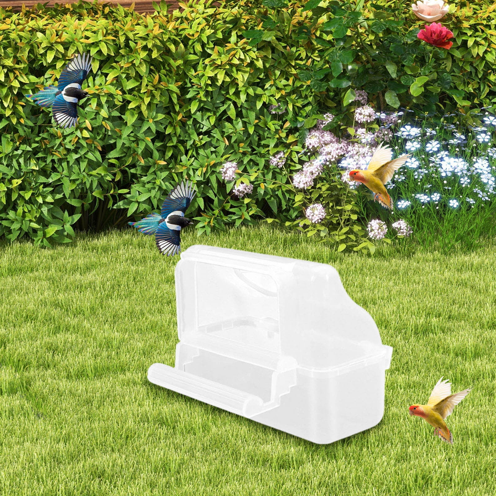 Gyedtr Clear Spill-Proof Bird Food & Water Feeder Box - Transparent ...