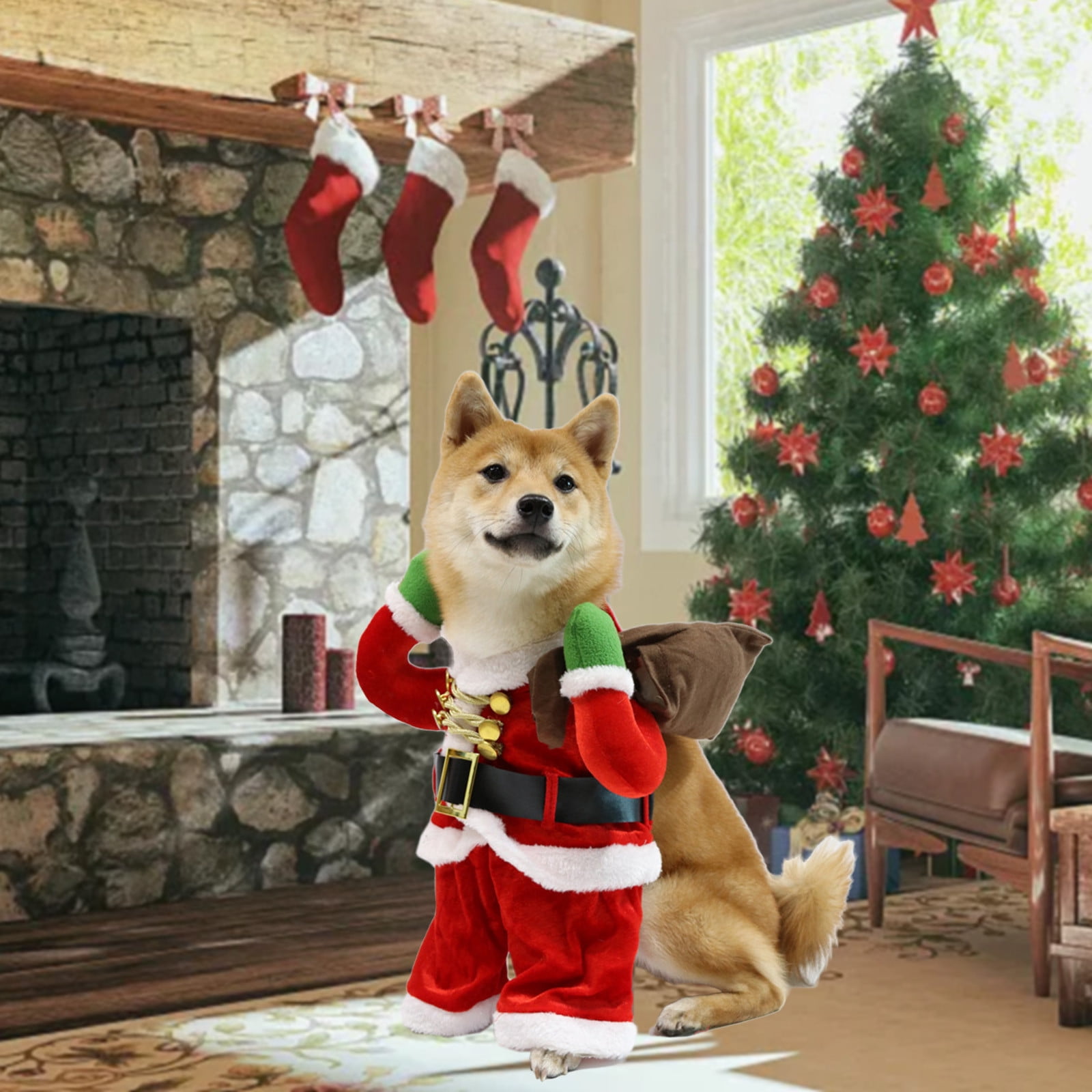 Gyedtr Small Dog Santa Claus Outfit,Dog Christmas Santa Claus Costum ...