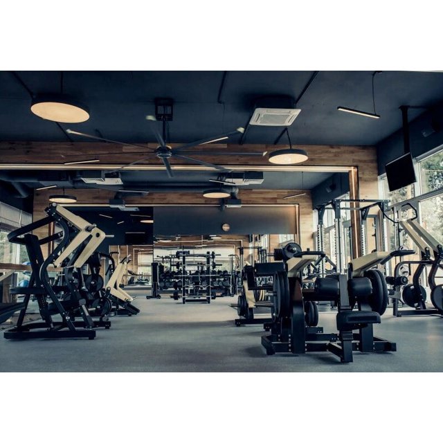 Gym Backdrop Equipment Weightlifting Exercise Sports Fitness Room ing ...