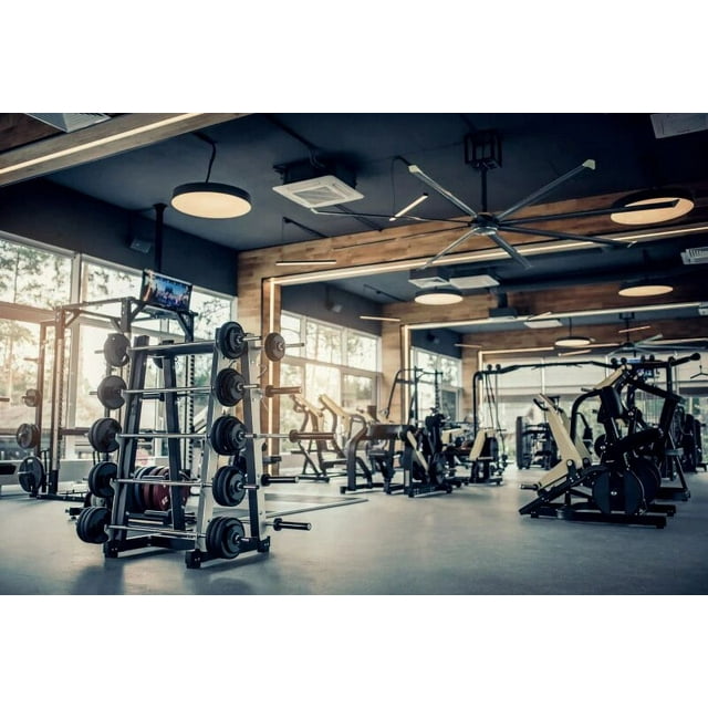 Gym Backdrop Equipment Weightlifting Exercise Sports Fitness Room ing ...