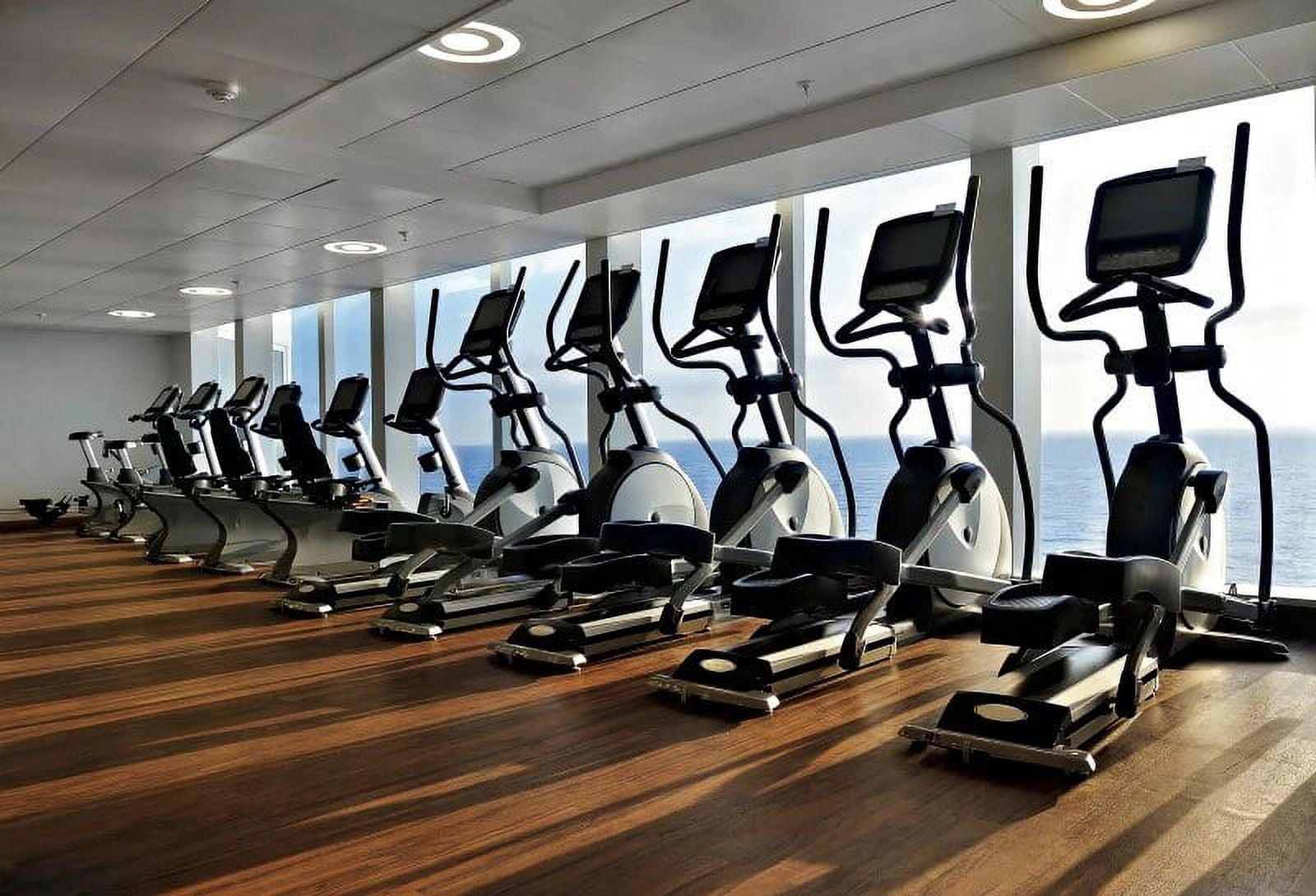 Gym Backdrop Equipment Weightlifting Exercise Sports Fitness Room ing ...