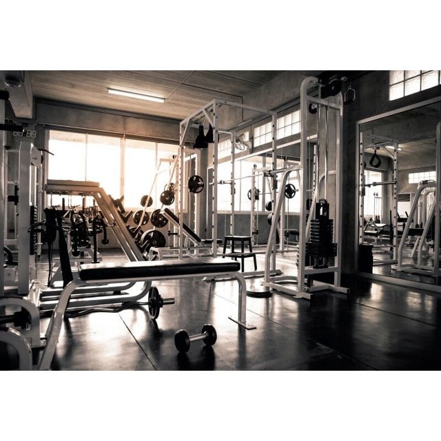 Gym Backdrop Equipment Weightlifting Exercise Sports Fitness Room ing ...