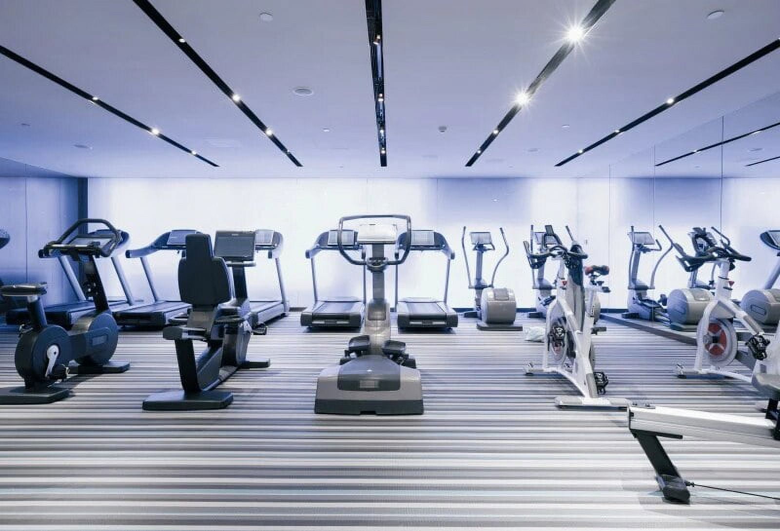 Gym Backdrop Equipment Weightlifting Exercise Sports Fitness Room ing ...