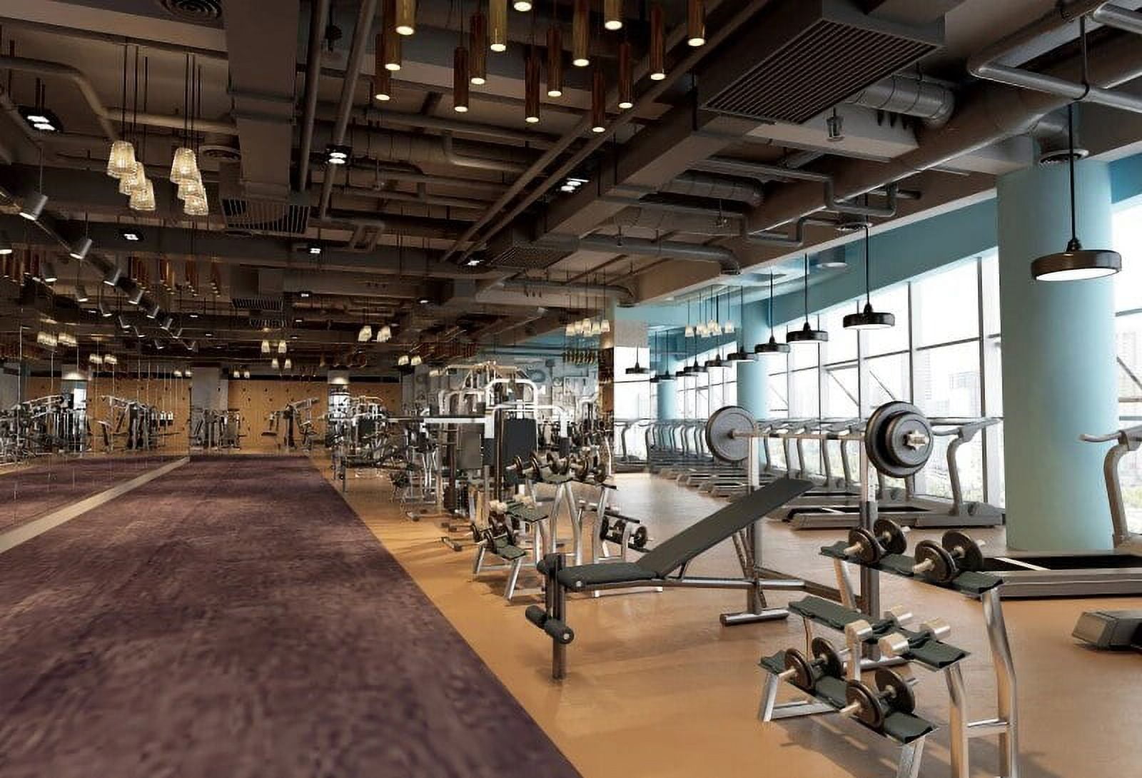 Gym Backdrop Equipment Weightlifting Exercise Sports Fitness Room ing ...