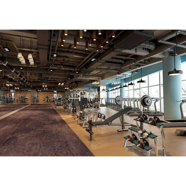 Gym Backdrop Equipment Weightlifting Exercise Sports Fitness Room ing ...