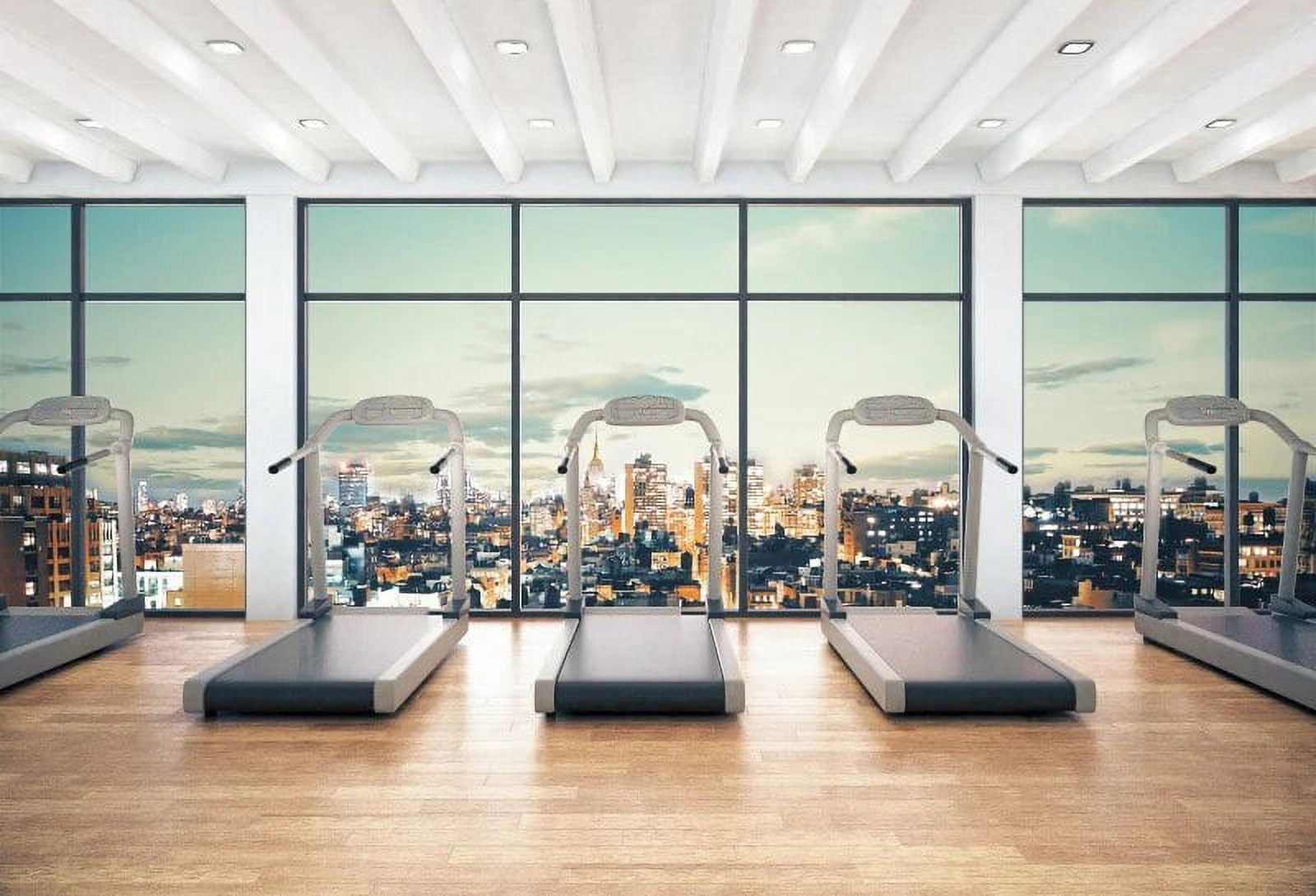 Gym Backdrop Equipment Weightlifting Exercise Sports Fitness Room ing ...