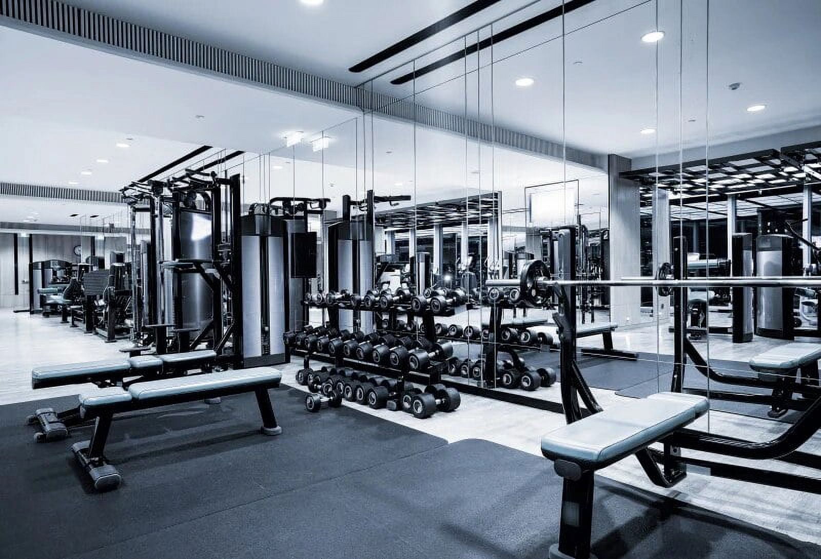 Gym Backdrop Equipment Weightlifting Exercise Sports Fitness Room ing ...