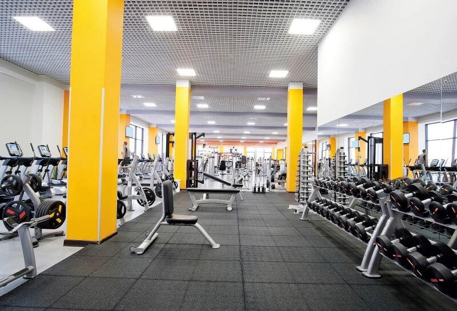 Gym Backdrop Equipment Weightlifting Exercise Sports Fitness Room ing ...