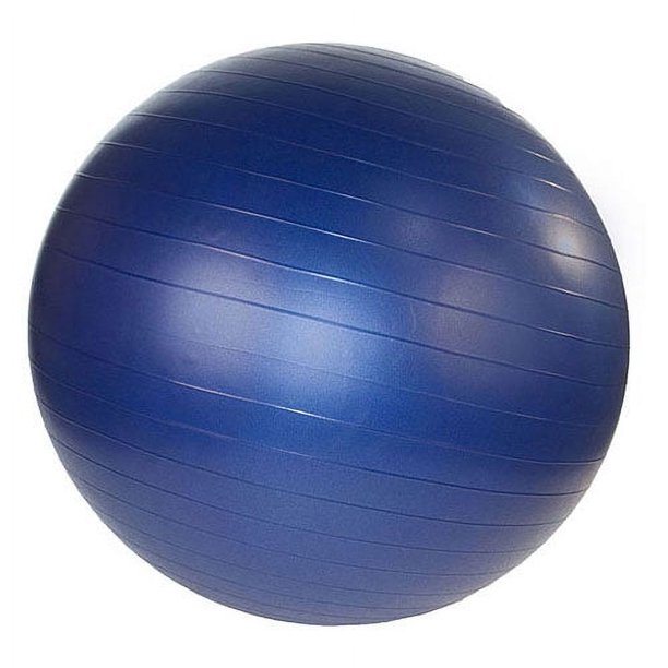 Gym Ball w/ Pump- 55cm - Walmart Business Supplies