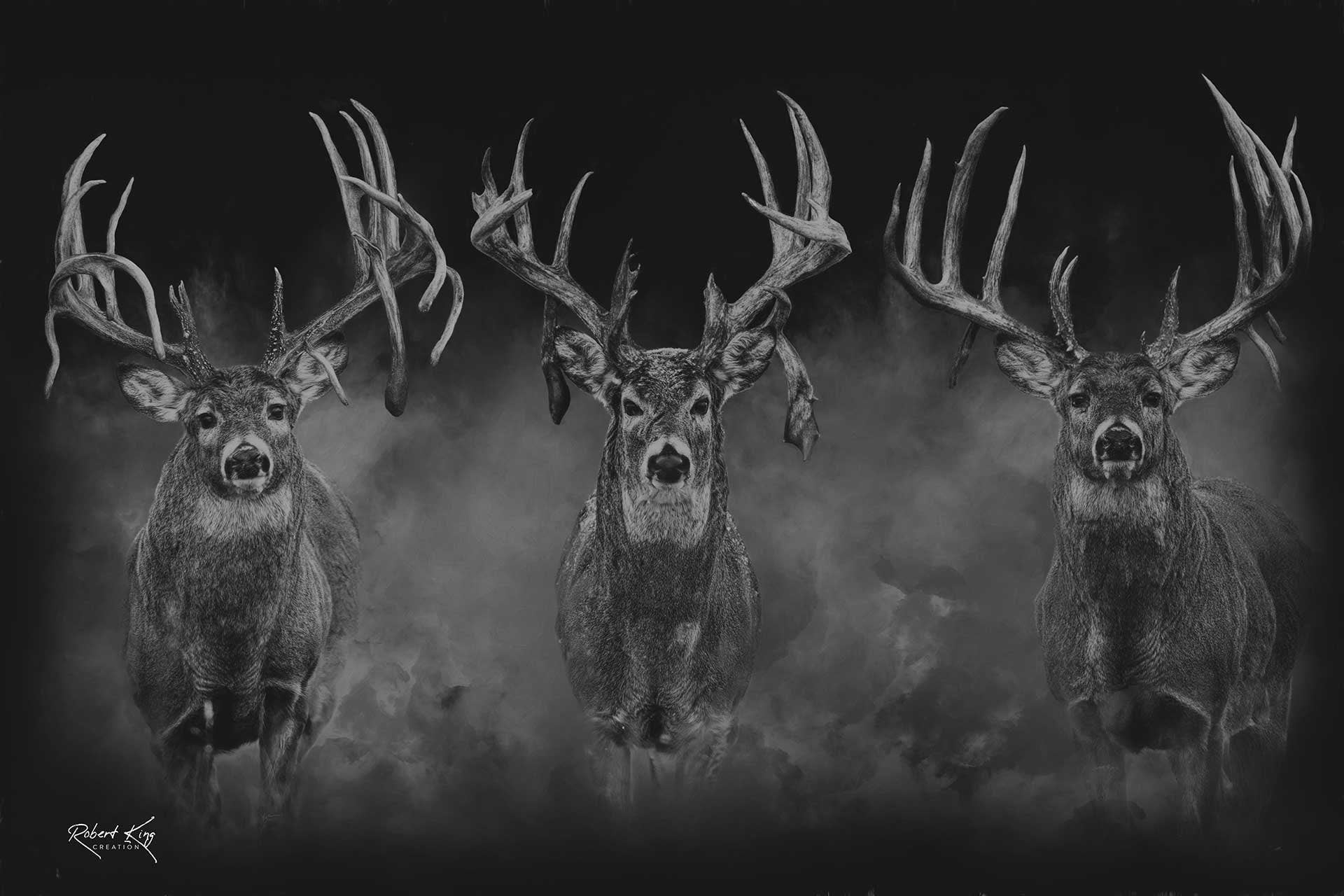 Gym Rats Dark Whitetail Print by Robert King, Whitetail Deer Trophy ...