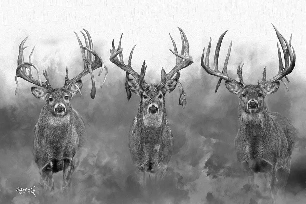 Gym Rats Light Whitetail Print by Robert King, Whitetail deer Trophy ...