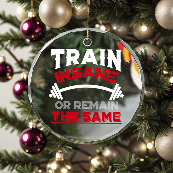 Gym Workout Motivational Quote s Train Insane Work Ornament, Home ...