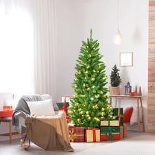 2 Foot Christmas Trees