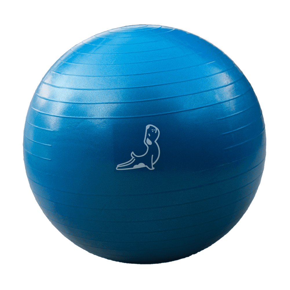 PETARYA 65cm Exercise Ball for Stretching, Strengthening, Pilates, Yoga ...