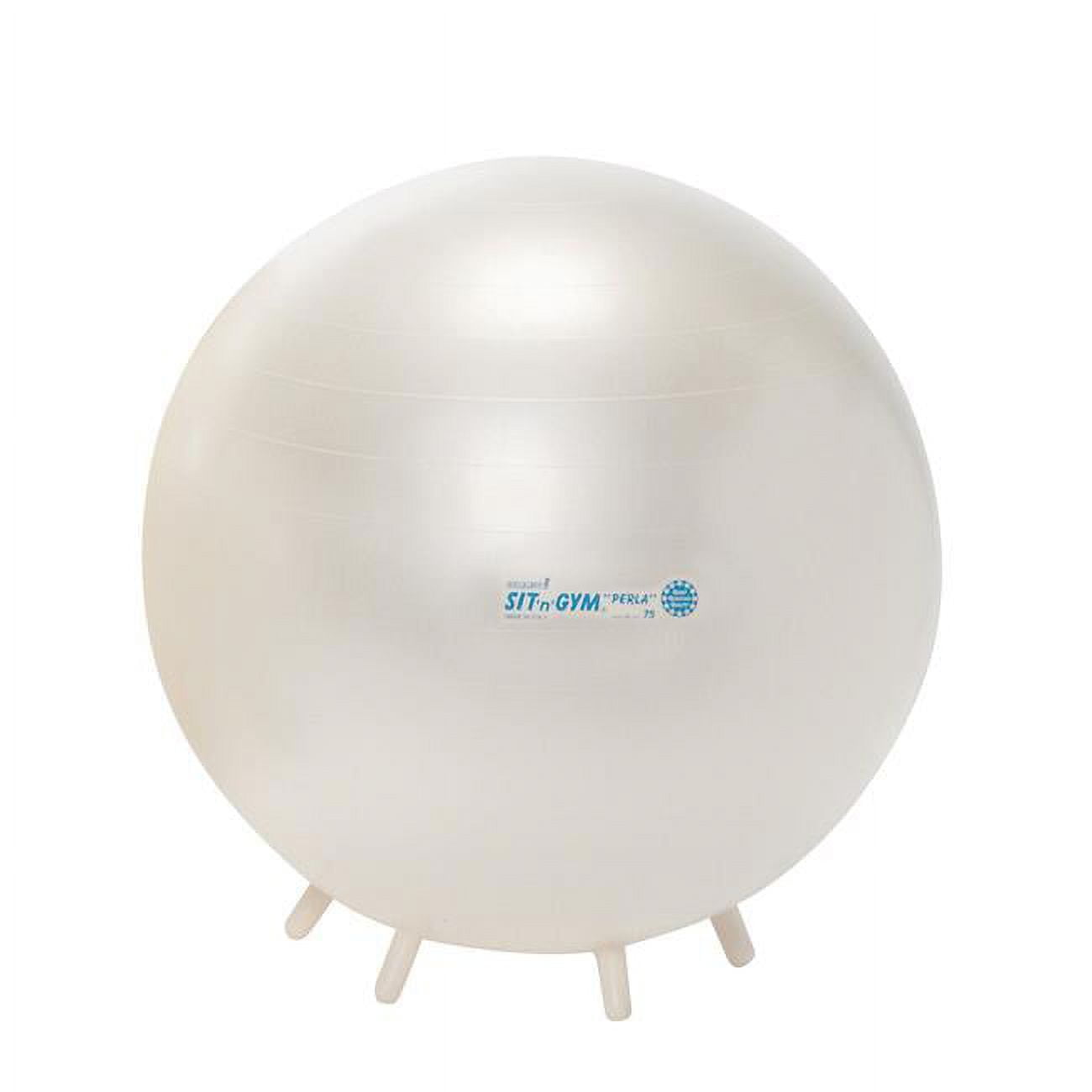 Gymnic 1513469 BRQ Exercise Ball Chair with Built in Legs, Pearl White ...