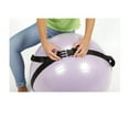 Gymnic Carry Strap for Exercise Balls - Walmart.com