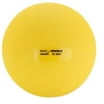 Reactor by Champion Barbell™ Handheld Fitness Ball - Walmart.com