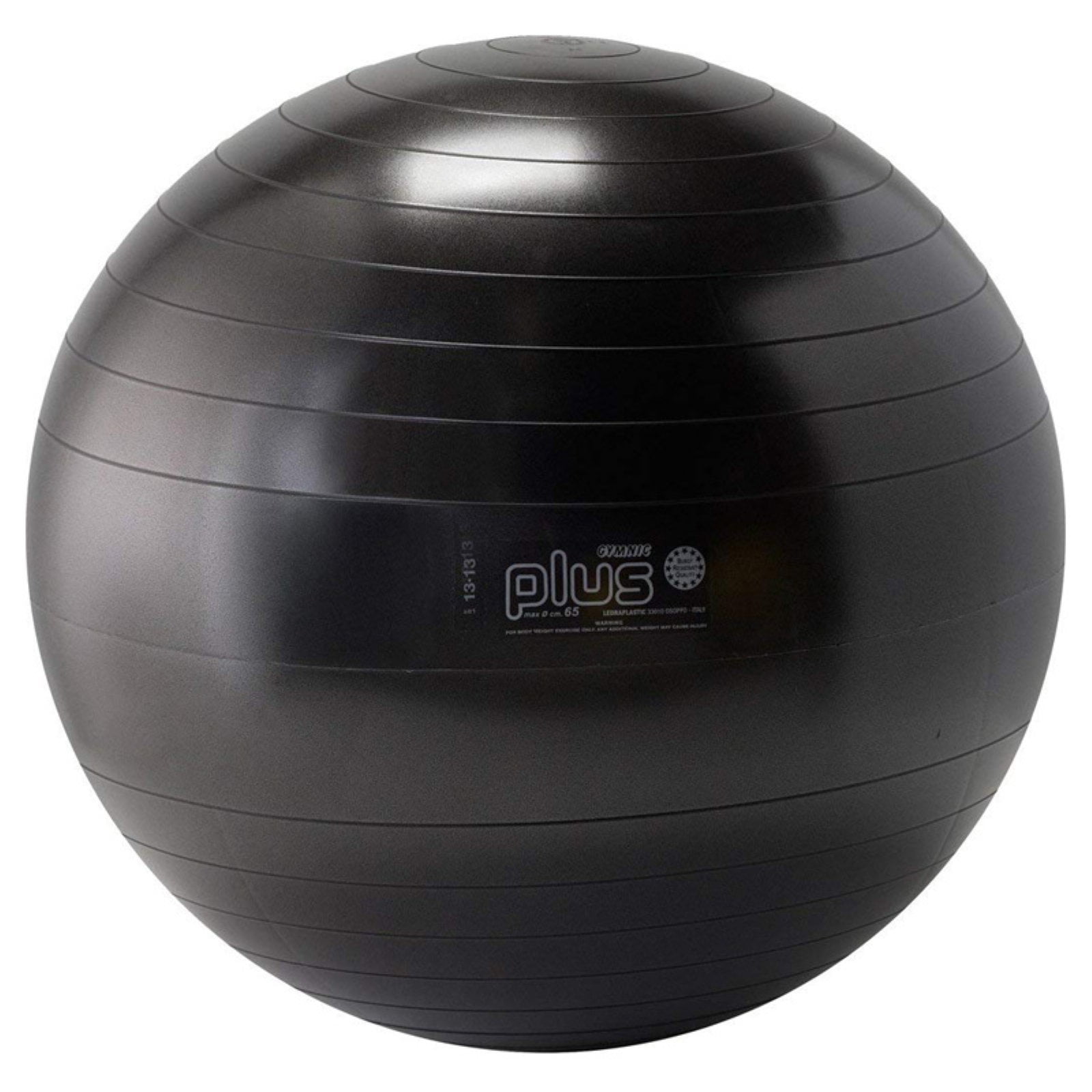 Free Shipping! Gymnic Plus Exercise Ball, 75cm - 26" Black - Walmart.com - Walmart.com