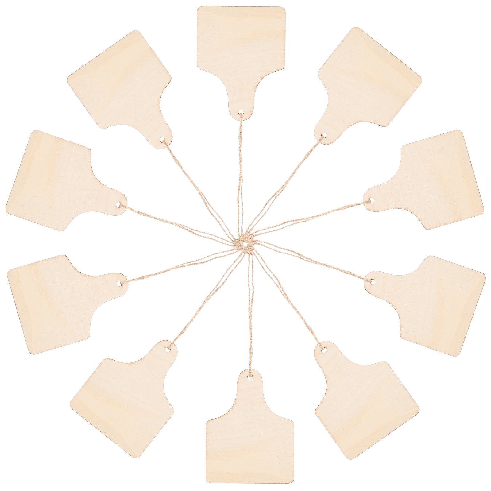 Gymnture 10 pcs Wooden Tags with Holes Unfinished Hanging Tags Blank ...