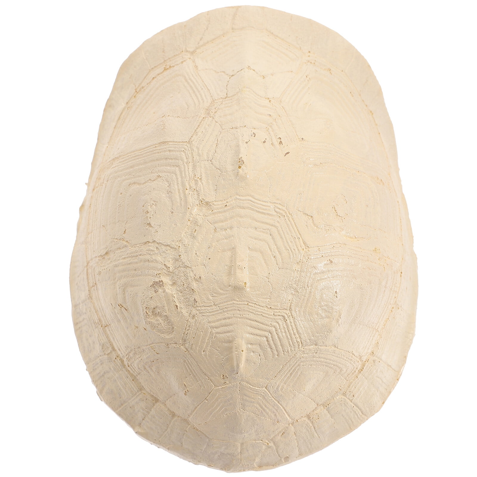 Gymnture Resin Turtle Shell Reptile Breeding Box Hideout for Aquarium ...