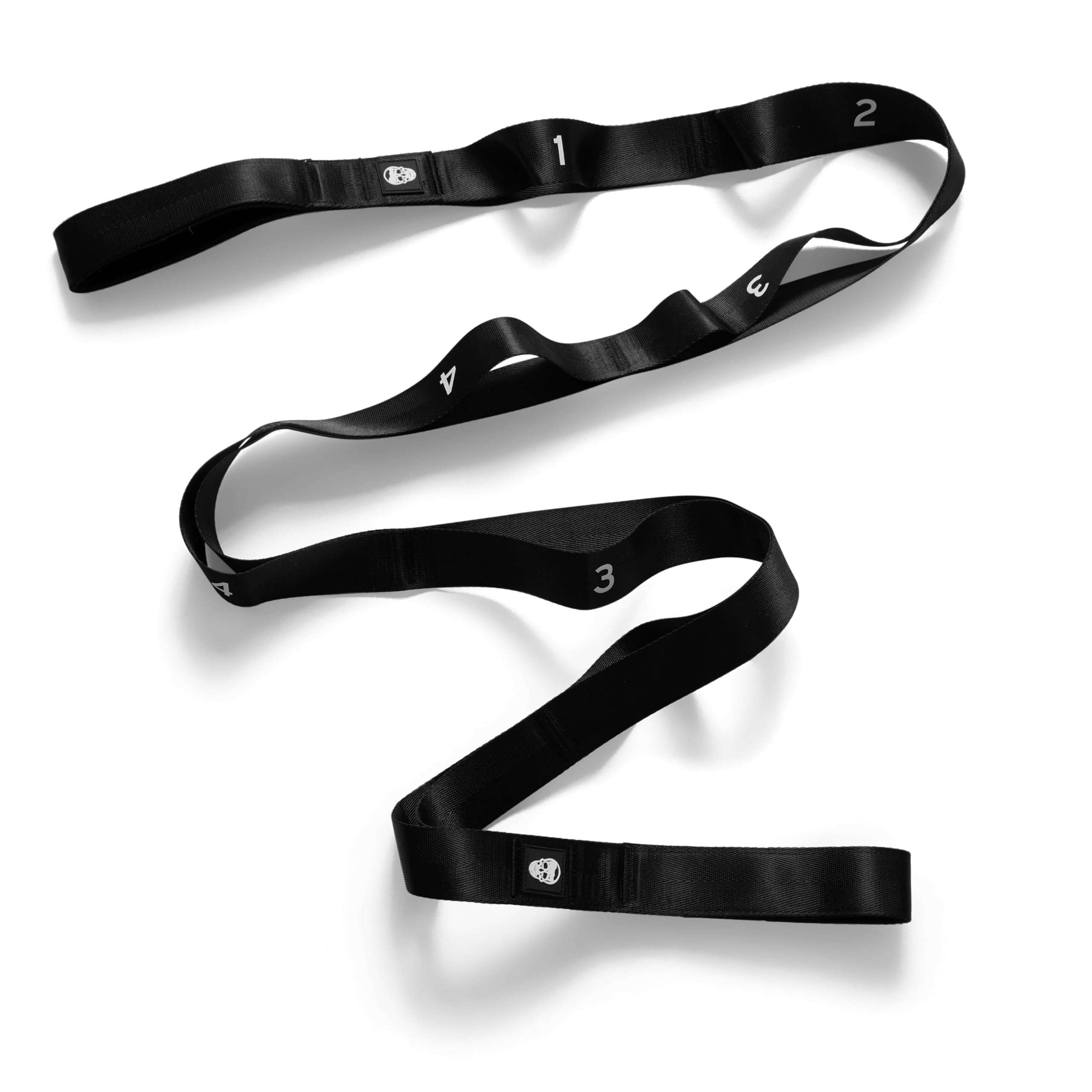 Gymreapers Stretching Strap Yoga Strap for Physical Therapy - 10 Loops ...