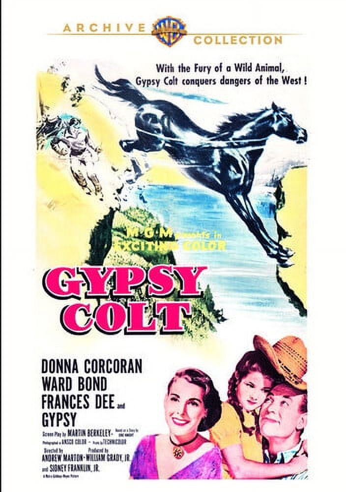 Gypsy Colt (DVD), Warner Archives, Kids & Family - Walmart.com
