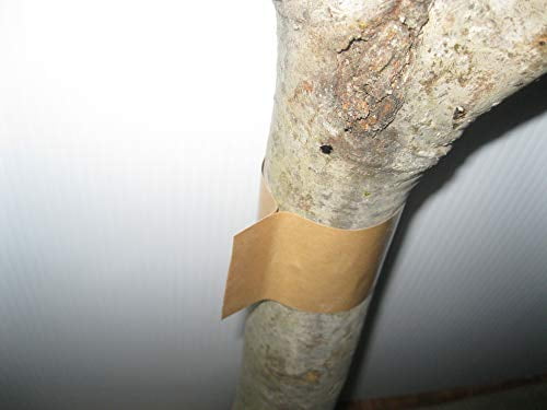 Gypsy Moth/Tent & Oakworm/Sponge Caterpillar Tree Barrier Tape ...