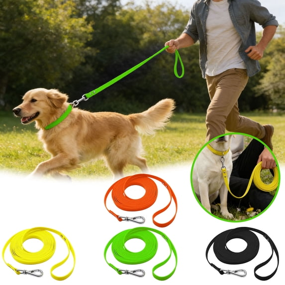Gytml Durable Nylon Pet Leash, Vibrant Colorful Dog Walking Lead ...