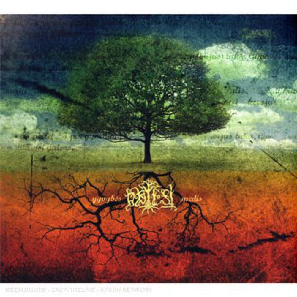 Gyvybes Medis - Walmart.com