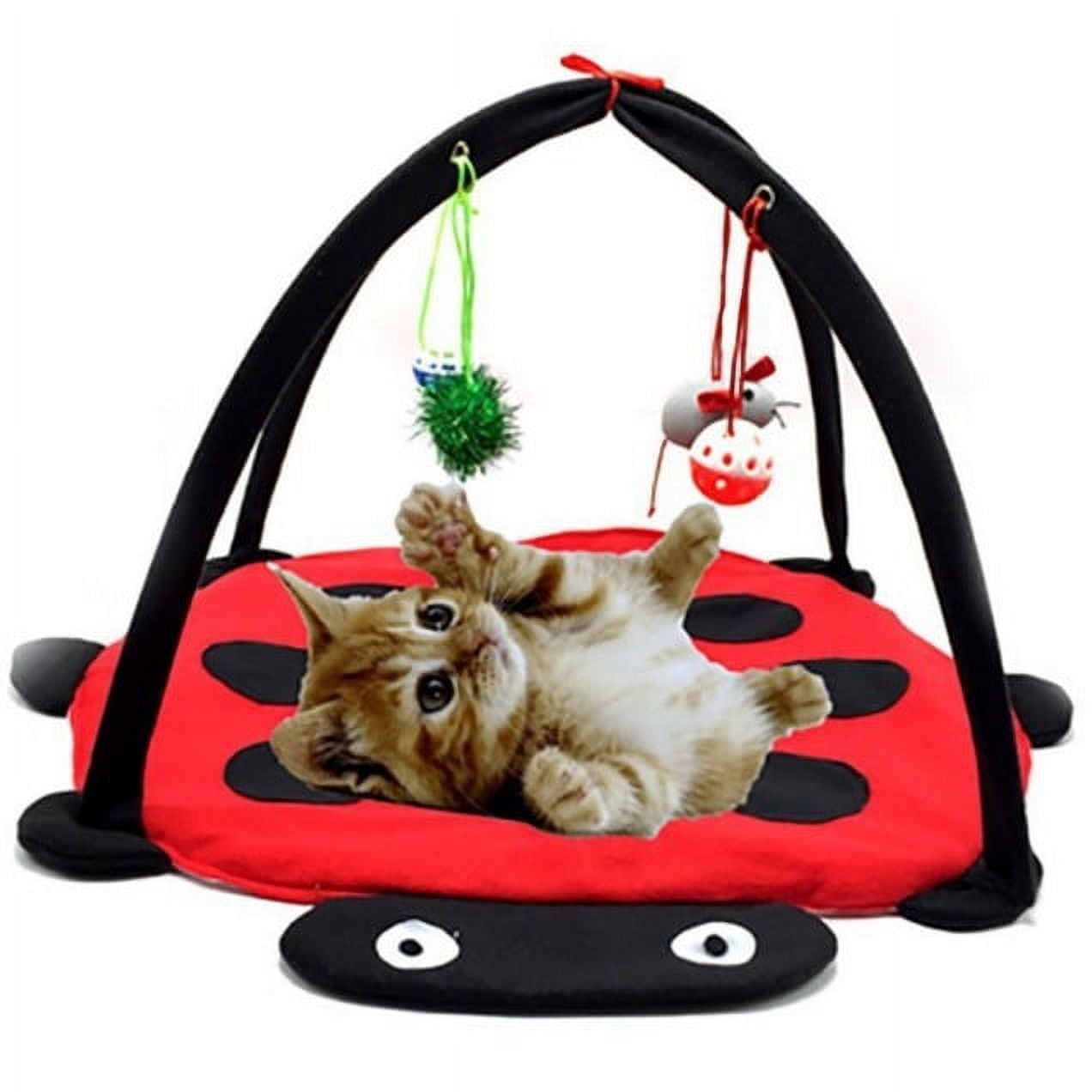 Gzkjswjs Padded Pet Bed with Hanging Toys, Foldable Cat Activity Play ...