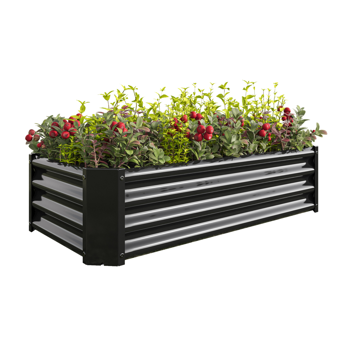 Gzxs Galvanized Raised Garden Bed, 4x2x1 FT Outdoor Metal Garden Boxes ...