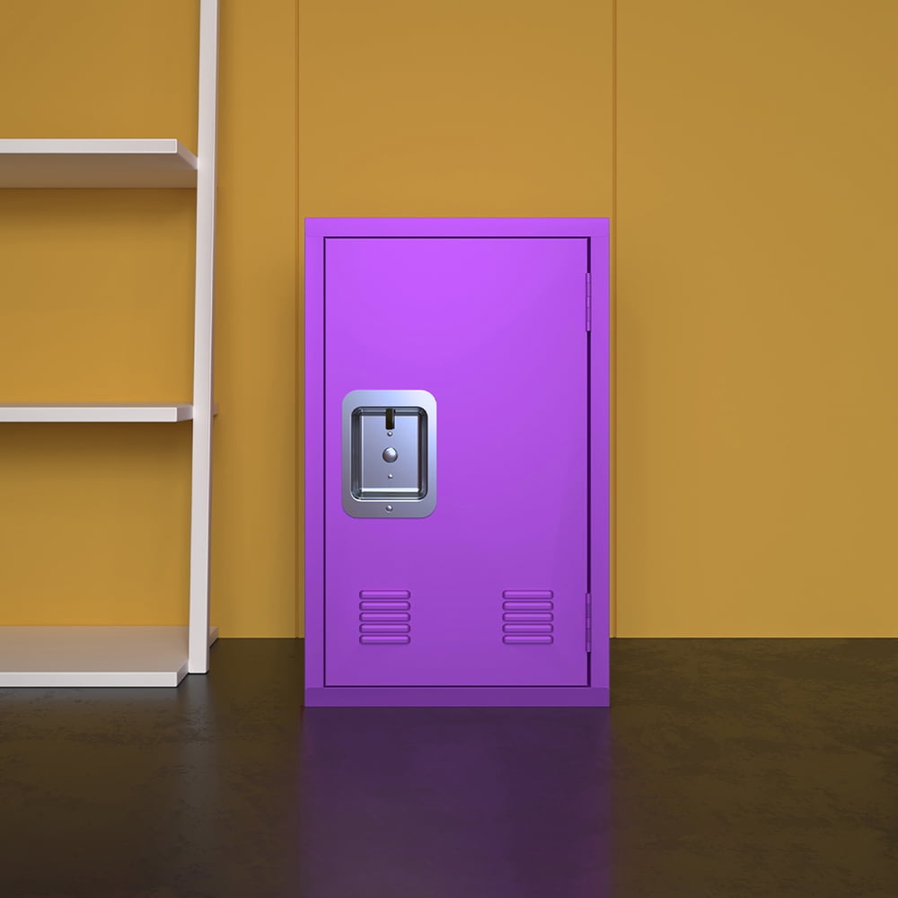 Gzxs Metal Locker, Lockable Storage Cabinet with 1 Door, 24" H Small ...