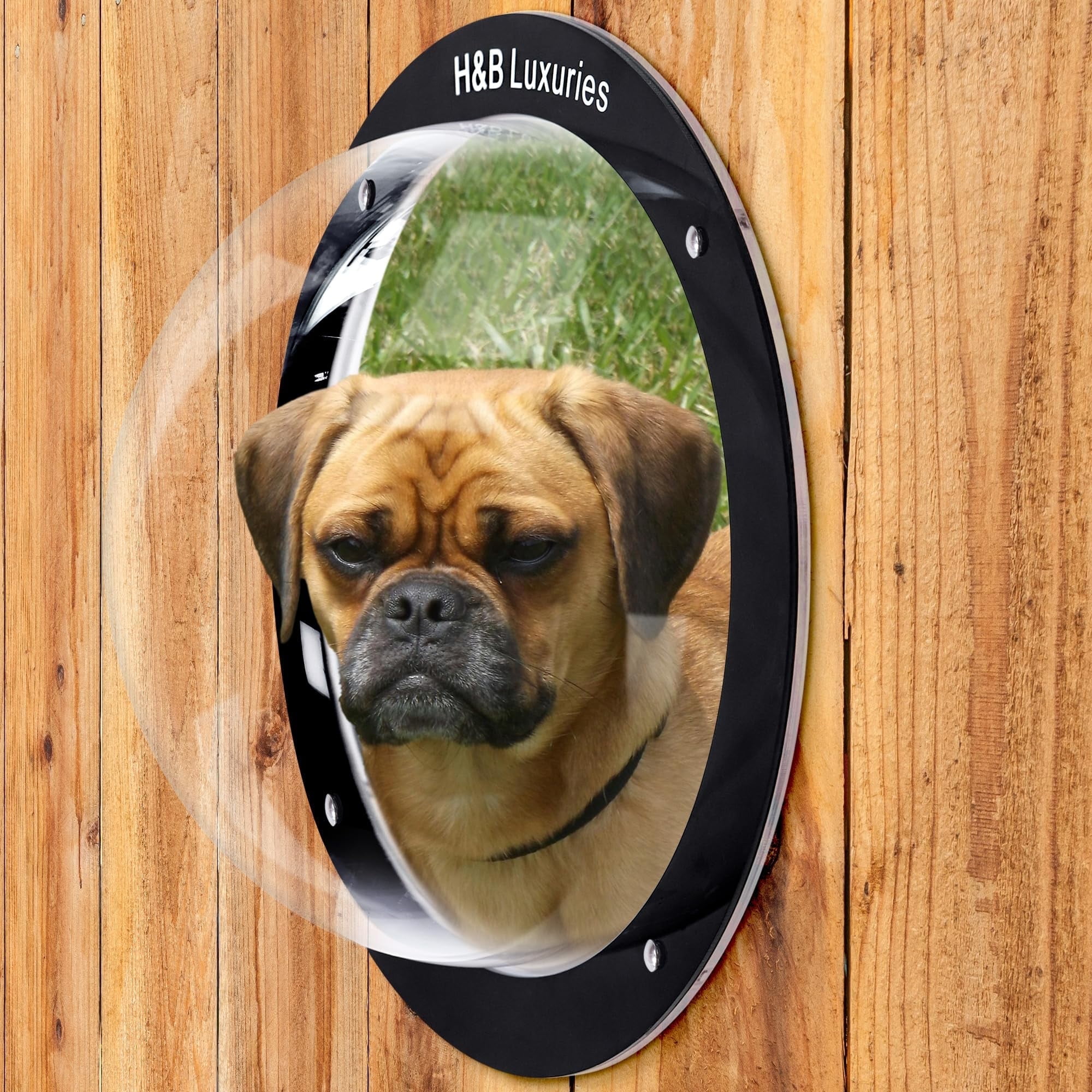 H&B Luxuries Dog Fence Window, 12.5 Inch Acrylic Dome Peek Bubble for ...