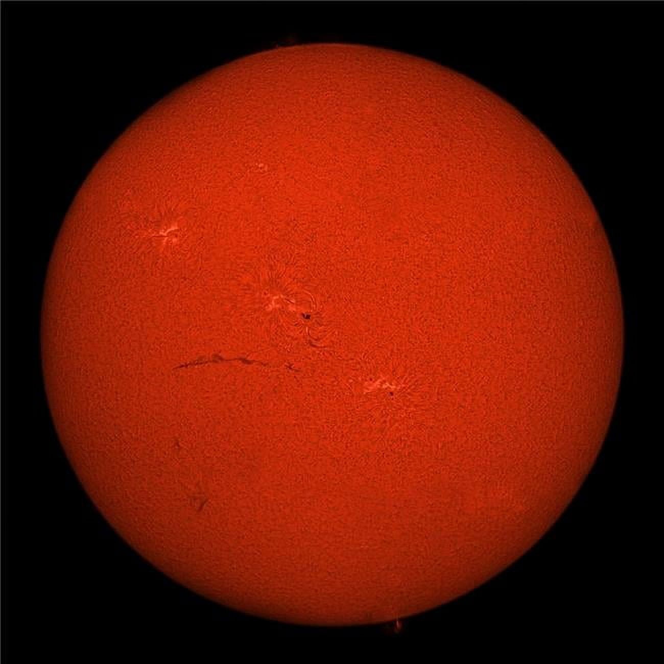 H-alpha full Sun in red color with active areas and filaments Poster ...