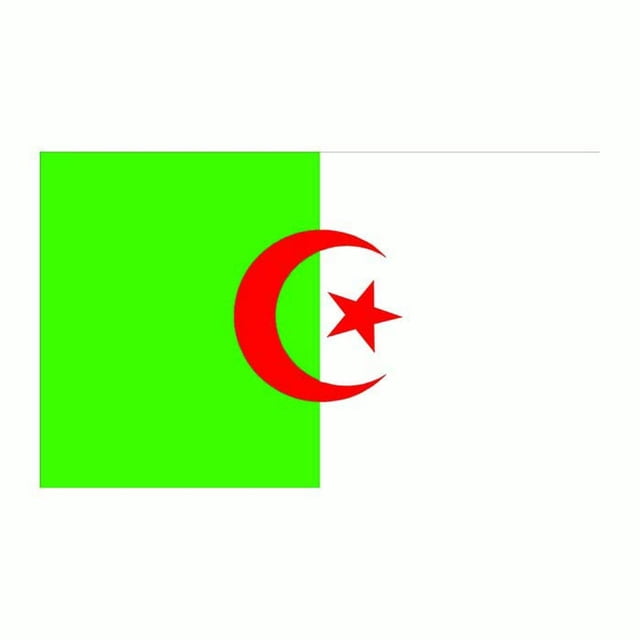 H11003 Algeria Flag Cardboard Cutout - Walmart Business Supplies