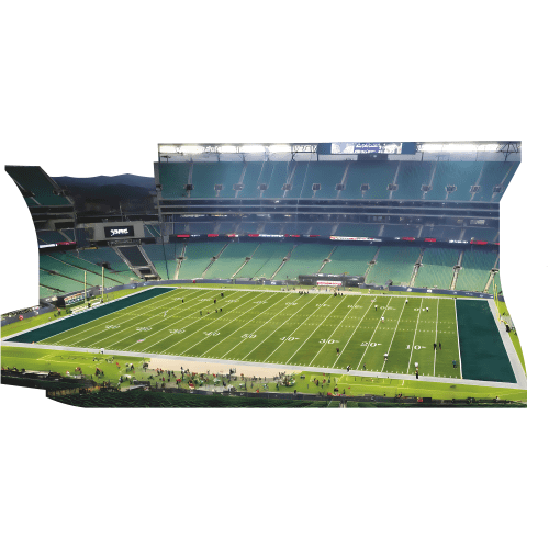 H13711 Philadelphia Bird of Prey Football Field Stadium Pennsylvania ...