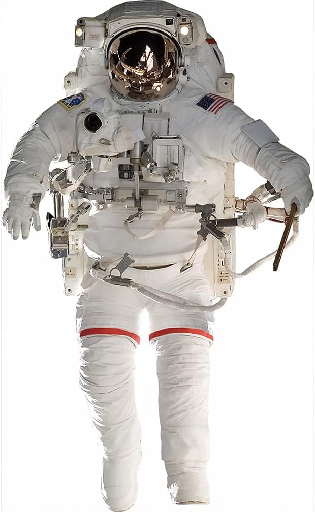 H69311 Astronaut Stand in Cardboard Cutout - Walmart.com