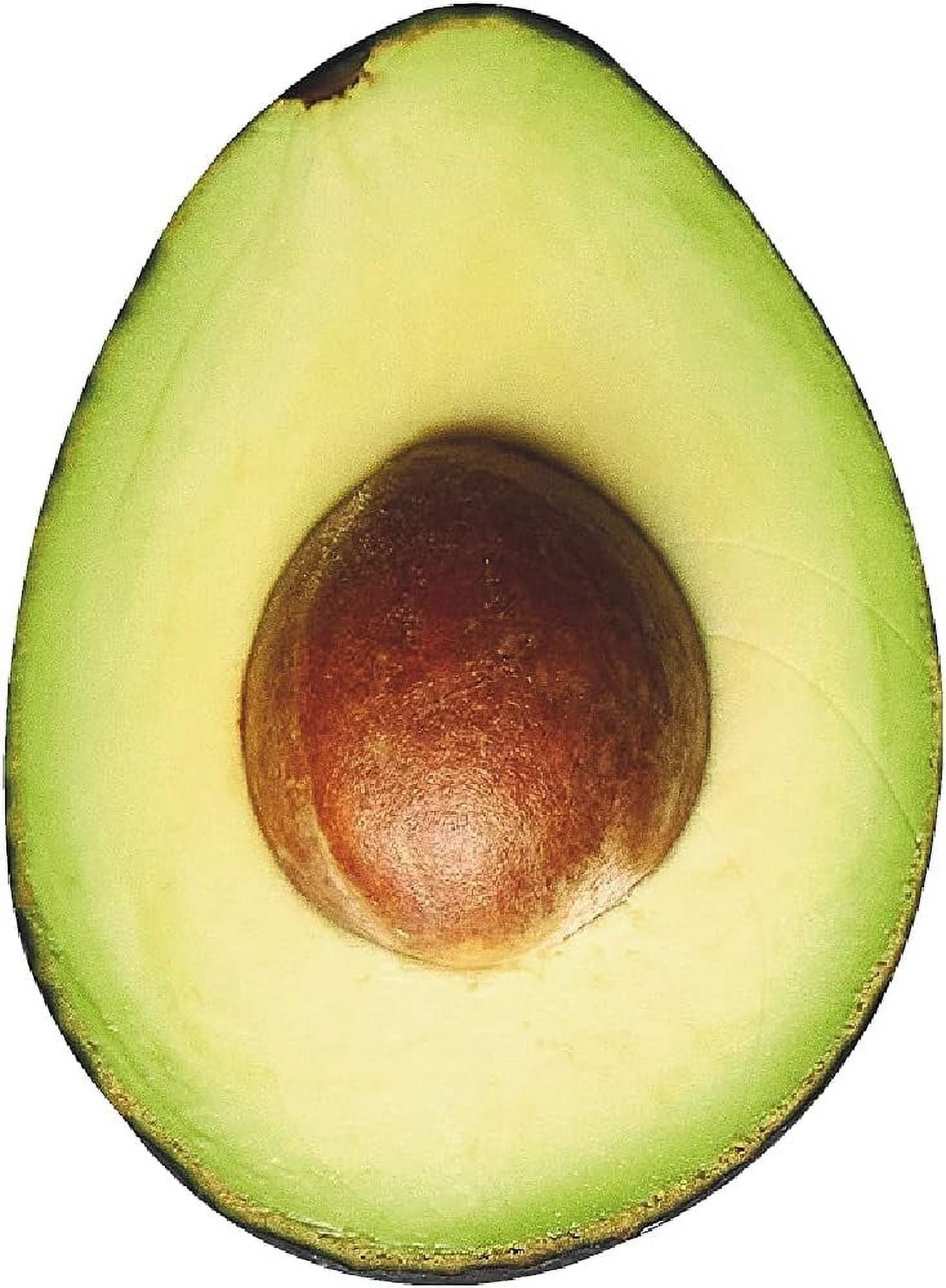 H86036 Avocado Fruit Cardboard Cutout Stand up (23x17) - Walmart.com