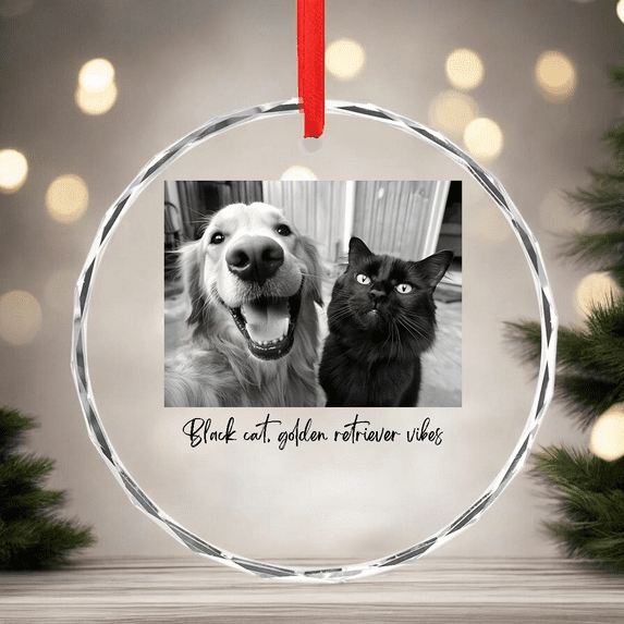 HADO Black Cat & Golden Retriever Vibes For Best Friends Couples ...