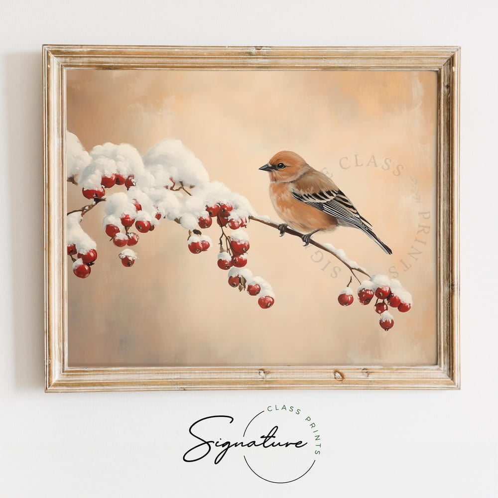 HADOPRINT Common Chaffinch On Snowy Branch With Red Berries - Winter ...